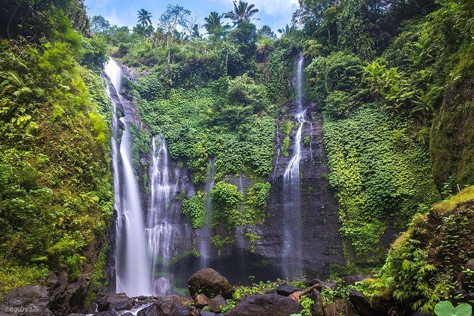 Private Sekumpul Waterfalls Trekking Tour - A Deep Dive into the Experience