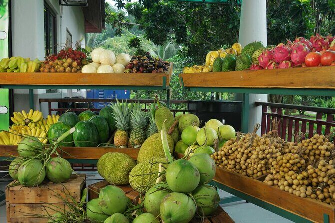 Private Selangor Day Tour : Batu Caves, Blue Mosque, Fruit Valley, Malawati Hill - What Do Travelers Say?