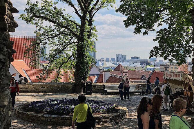 Private Self-Guided Audio Walking Tour in Tallinn Old Town - Who Will Find This Tour Valuable?