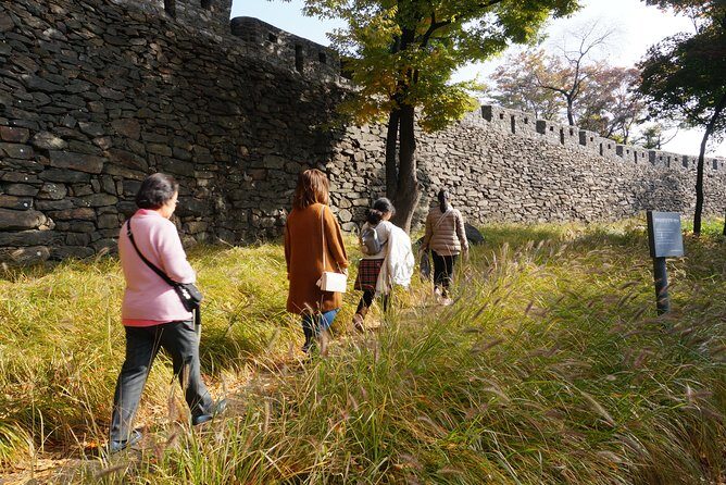 Private Seoul Wall Trekking [Inwangsan, Bugaksan, Naksan Park, N-Seoul Tower] - Who Should Consider This Tour?
