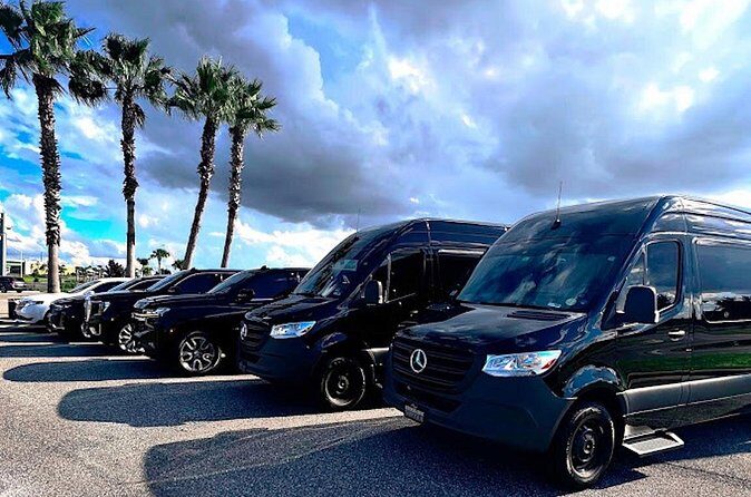 Private service, Airport, Hotels to Port Canaveral terminals. - What Makes This Transfer Stand Out?