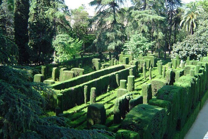 Private Sevilla Tour for families with children and teens... - An In-Depth Look at the Tour Experience