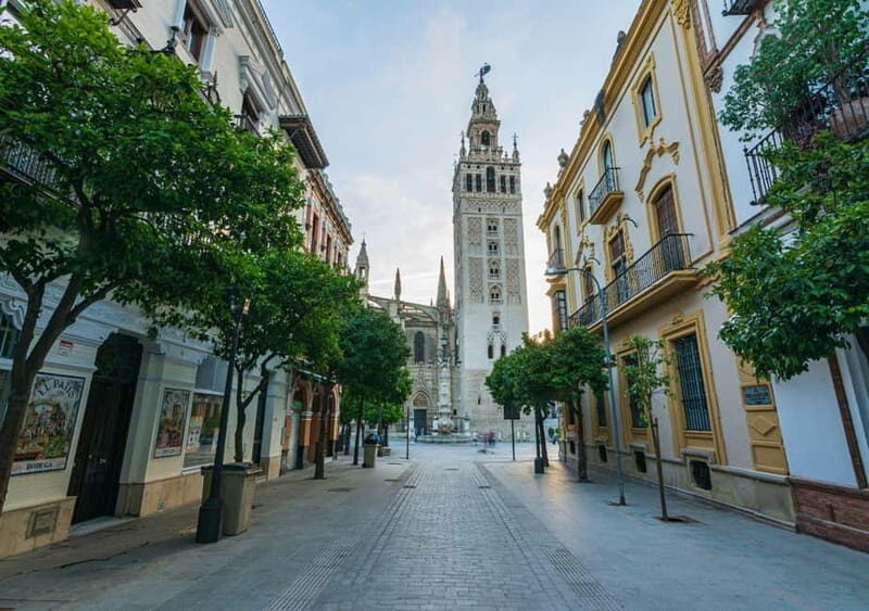 Private Seville: exclusive tour of Santa Cruz and the historic center - An in-depth look at the experience