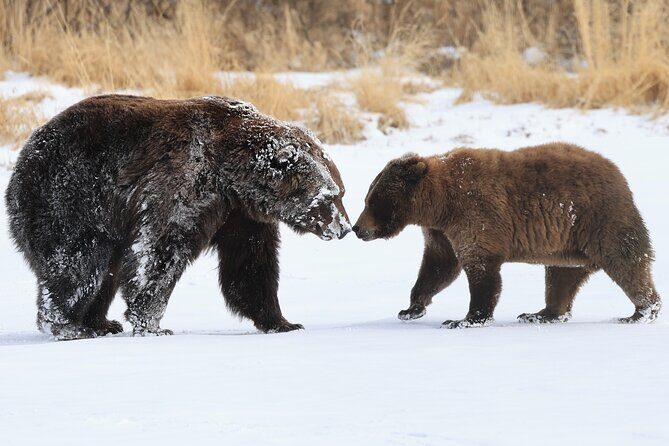 Private Seward Cruise Transfer & Scenic Tour for Large Groups - Final Thoughts