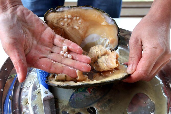 Private Shanghai Shopping Tour with Local Shopping Guru - Key Points