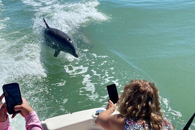 Private Shelling and Dolphin Excursion - The Allure of Southwest Florida’s Marine World