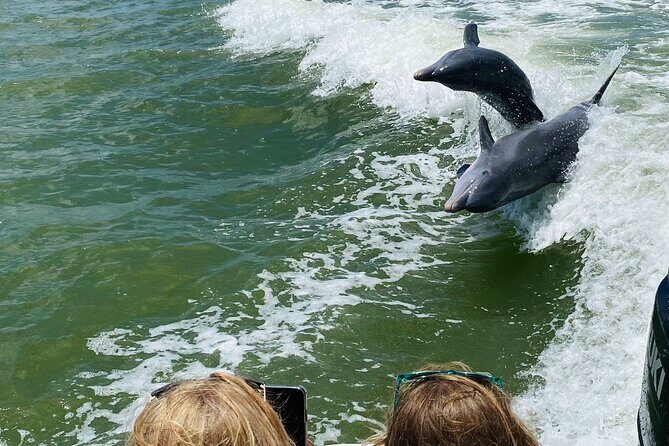 Private Shelling and Dolphin Excursion - What to Expect: Experience Quality and Comfort