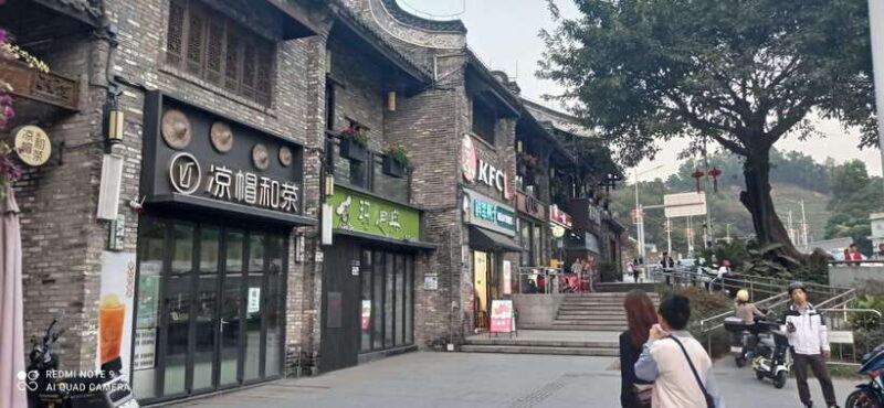 Private Shenzhen Day Tour from Hong Kong - Introduction