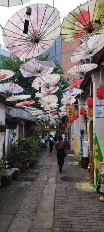 Private Shenzhen Day Tour from Hong Kong - The Sum Up