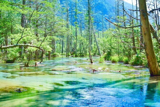 Private Shinhotaka Ropeway and Kamikochi Tour - The Sum Up