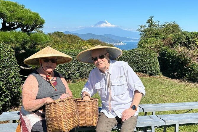 Private Shizuoka Tour from Shizuoka Station / Sedan Taxi - Final Thoughts
