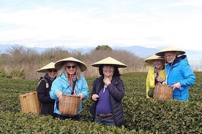 Private Shizuoka Tour from Shizuoka Station /Small Bus - Key Points