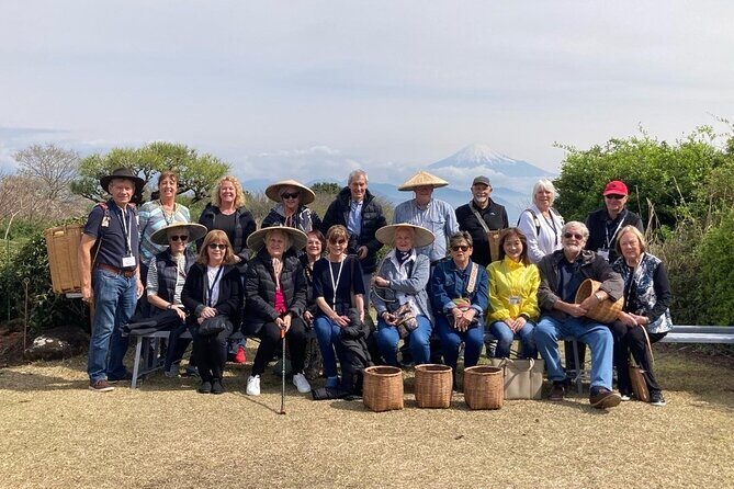 Private Shizuoka Tour from Shizuoka Station /Small Bus - Practical Details and Tips