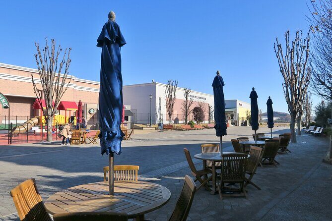 Private Shopping Tour from Tokyo Hotels to Sano Premium Outlets - Who Will Love This Experience?