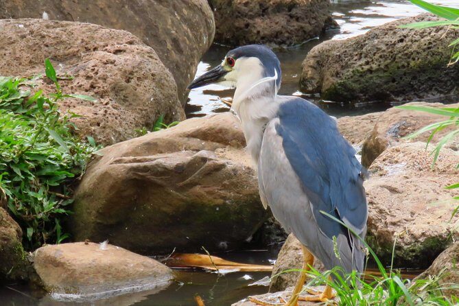 Private Shore Excursion: Best Highlights of Maui - The Sum Up: Who Is This Tour Best For?