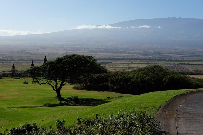 Private Shore Excursion: Best Highlights of Maui - FAQ - Your Practical Questions Answered