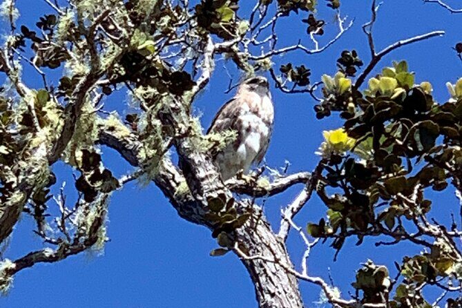 PRIVATE Shore Excursion - 'Best of Hilo and Hamakua coast - FAQs
