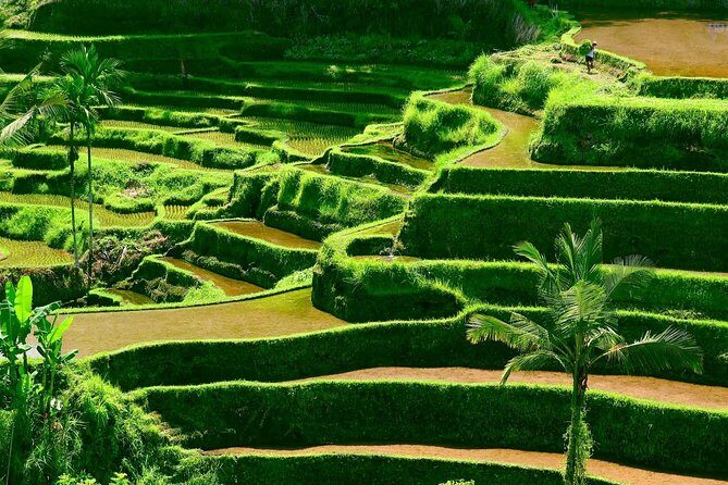 Private Shore Excursion: Customized Best of Bali Tour - FAQs