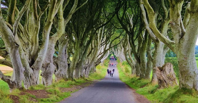 Private Shore Excursion From Belfast Cruise Terminal - Key Points