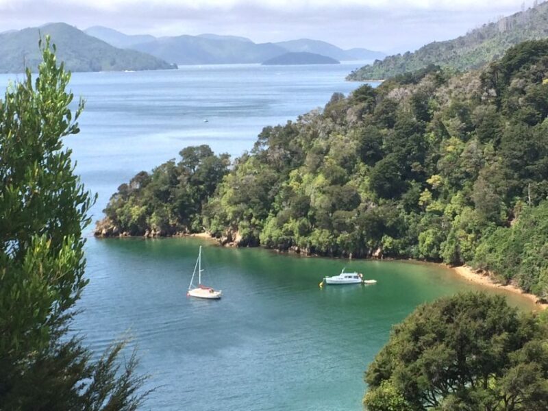 Private Shore Excursion from Picton: Marlborough Highlights - A Day Well Spent for Curious Travelers