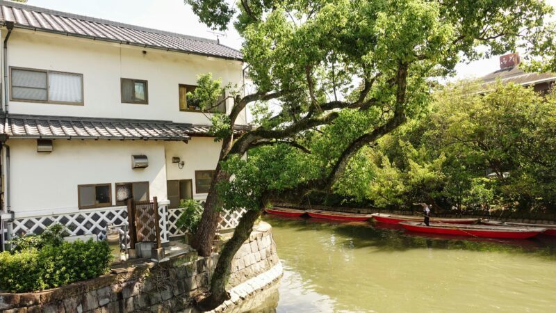 Private Shore Excursion Fukuoka : Yanagawa Cruise, Dazaifu - Key Points