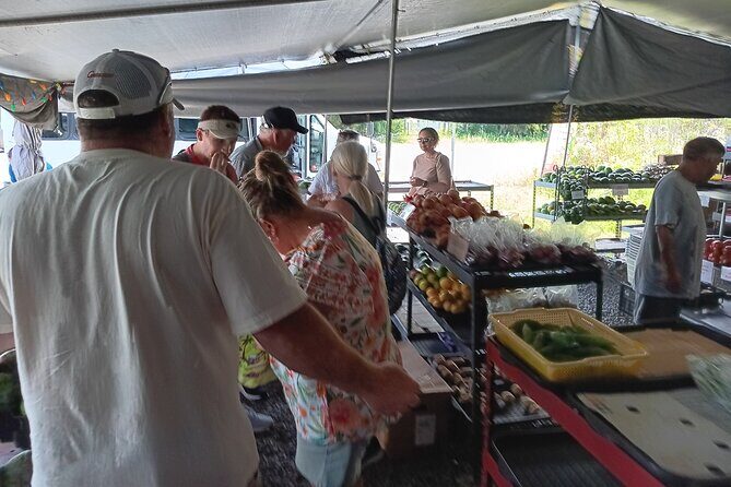 Private Shore Excursion Hilo Land of Frozen Fire up to 14 - Who Will Love This Tour?