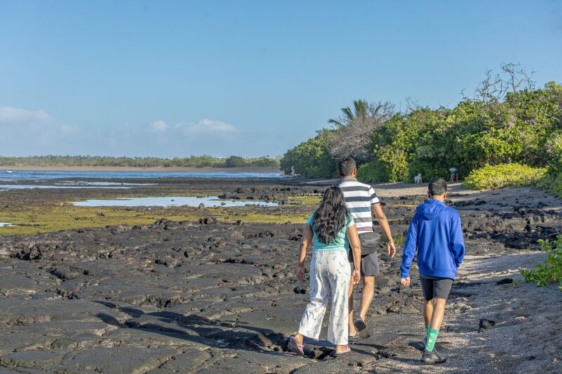 Private Shore Excursion Kona Coffee & National Historic Park - FAQ