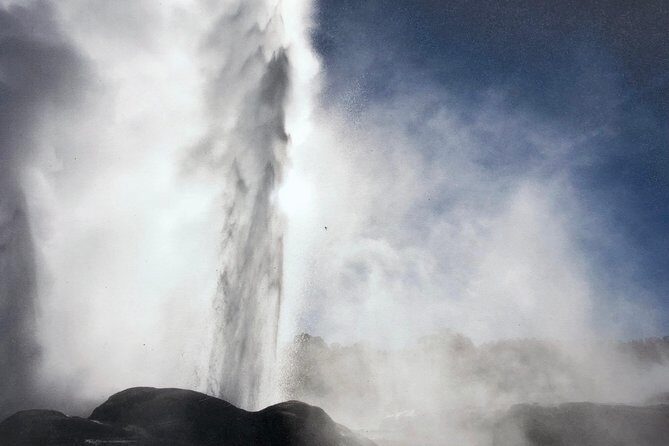 Private Shore Excursion Rotorua/ Tauranga Maori culture, Geyser & concert - Price and Value