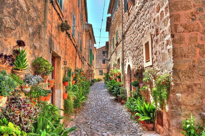 Private Shore Excursion to Valldemossa and Palma de Mallorca - FAQ