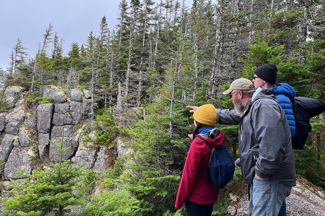 Private Shore Excursion UTV/ATV Side-by-Side Trail Tour - Introduction