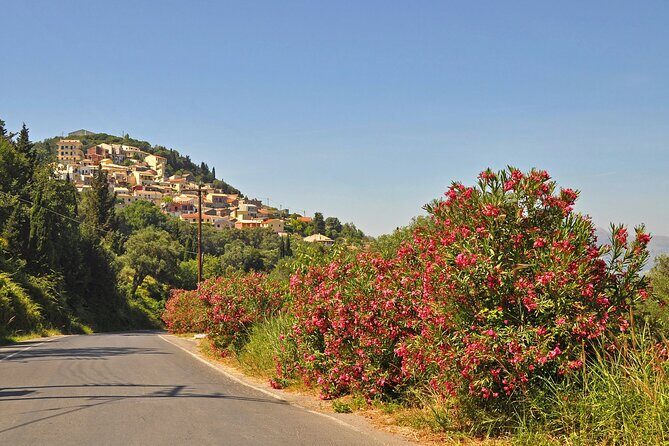 Private Shore Excursion Visit in Corfu with private driver. - Exploring Corfu’s Scenic Highlights in Comfort