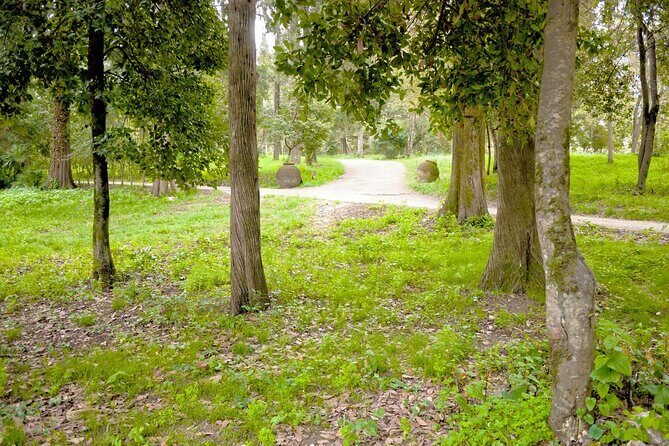 Private Shore Excursion Visit in Corfu with private driver. - Practical Details: What You Need to Know