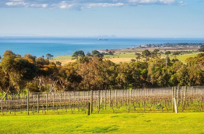 Private Shore Tour: Bellarine Peninsula Wine Experience - Final Thoughts