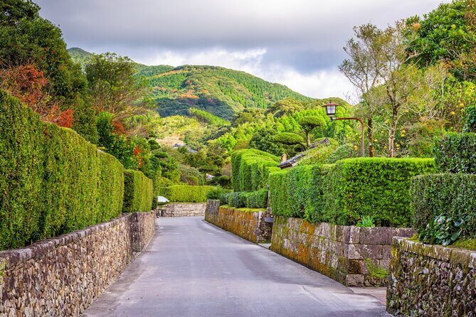 Private Shore Tour: Chiran Samurai Gardens from Kagoshima - Key Points