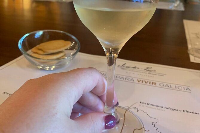 Private Shore Tour Galicia South Atlantic Coast, Portugal &Wine - Practical Tips for Booking and Enjoying the Tour