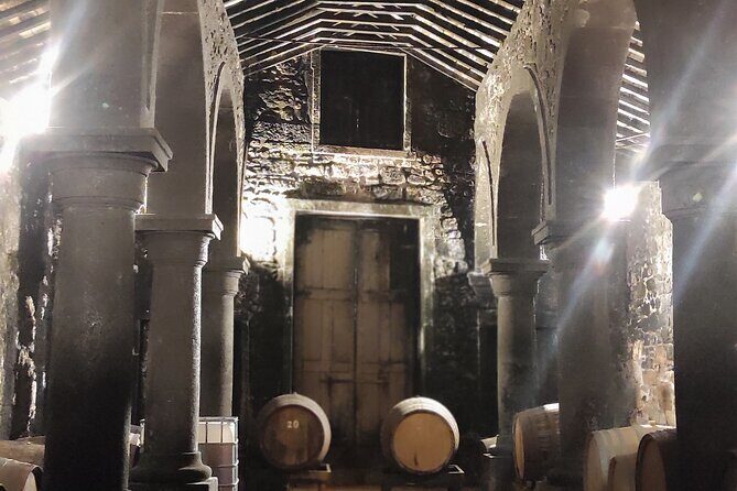 Private Shore Tour Galicia South Atlantic Coast, Portugal &Wine - Who Should Consider This Tour?