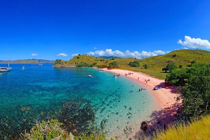 Private Shore Tour Komodo Dragons & Island Adventure - The Sum Up