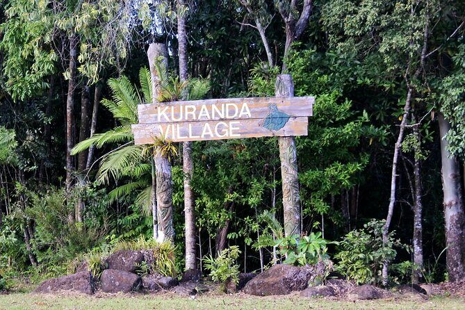 Private Shore Tour: Kuranda Rainforest &Skyrail from Port Douglas - What’s Included and What’s Not