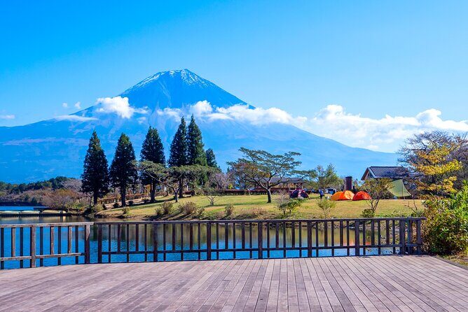 Private Shore Tour: Mt. Fuji Highlights from Shimizu Port - Key Points
