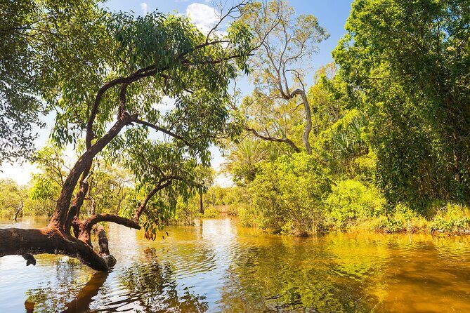 Private Shore Tour: North Stradbroke Island from Brisbane - Who Will Enjoy This Tour Most?
