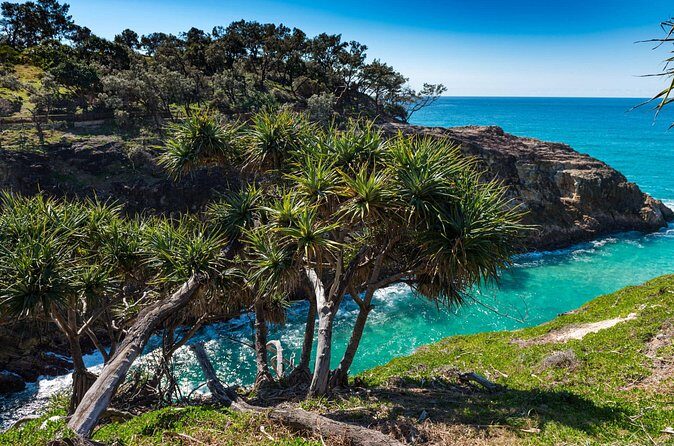 Private Shore Tour: North Stradbroke Island from Brisbane - Final Thoughts