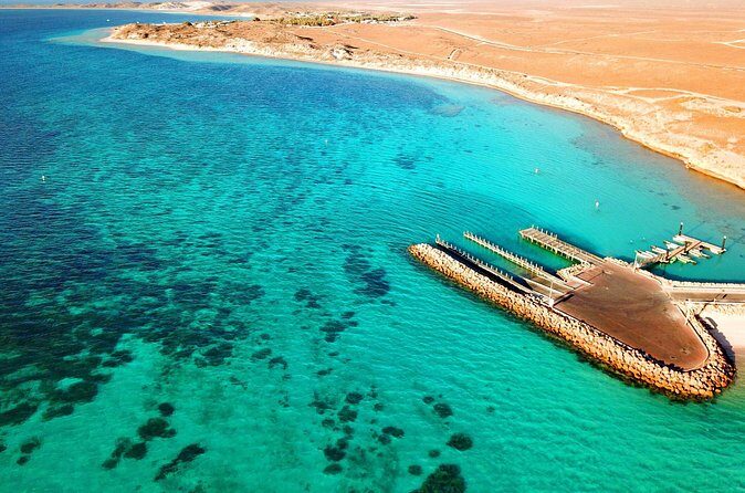 Private Shore Tour: Scenic Flight Over Ningaloo Reef & Transfer - Who Should Consider This Tour?