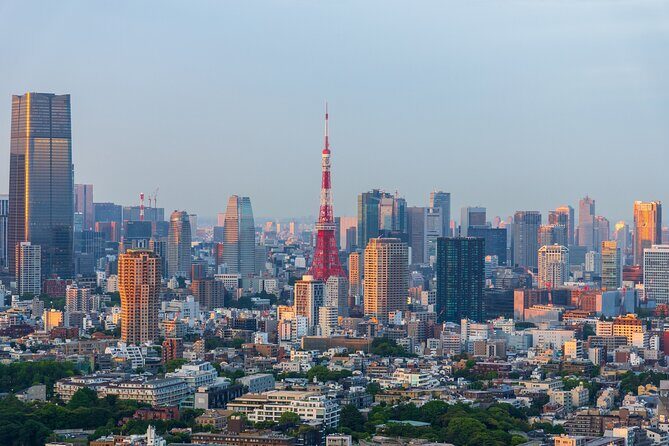 Private Shore Tour: Tokyo Highlights & Hidden Gems - Exploring Tokyo in Six Hours: What to Expect