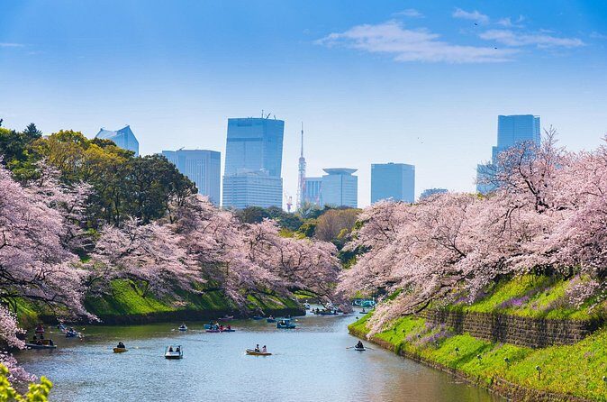 Private Shore Tour: Tokyo Highlights & Hidden Gems - Who Should Consider This Tour?