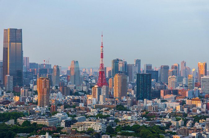 Private Shore Tour: Tokyo Highlights & Hidden Gems - FAQs