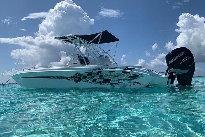 Private Short Tour to Stingray City and Local Welcome Drink - Final Thoughts on the Value