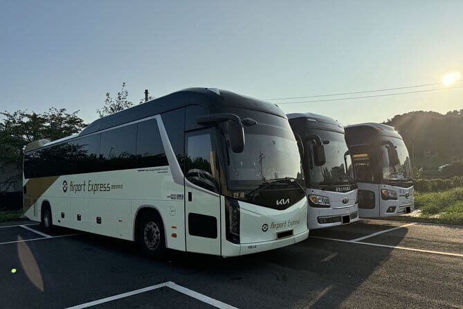 Private Shuttle Service from Korean Airport to Seoul Hotel - Introduction