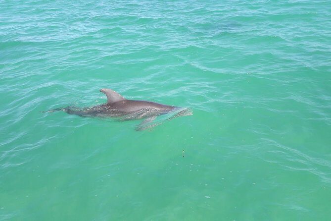 Private Sian Kaan Biosphere Tour - Authentic Experiences and What You’ll Remember