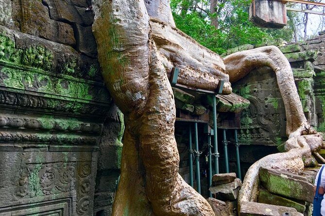 Private Siem Reap 4 Days: Full Exploration of the Angkor Complex - Final Thoughts