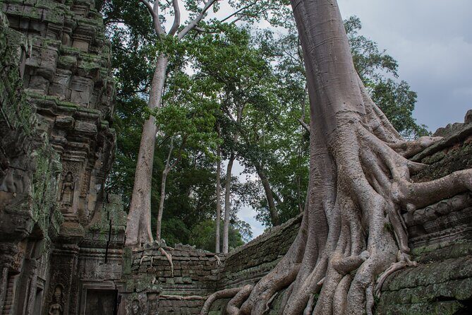 Private Siem Reap Airport Transfer to hotel in town - The Experience: From Airport to Hotel in Style and Ease